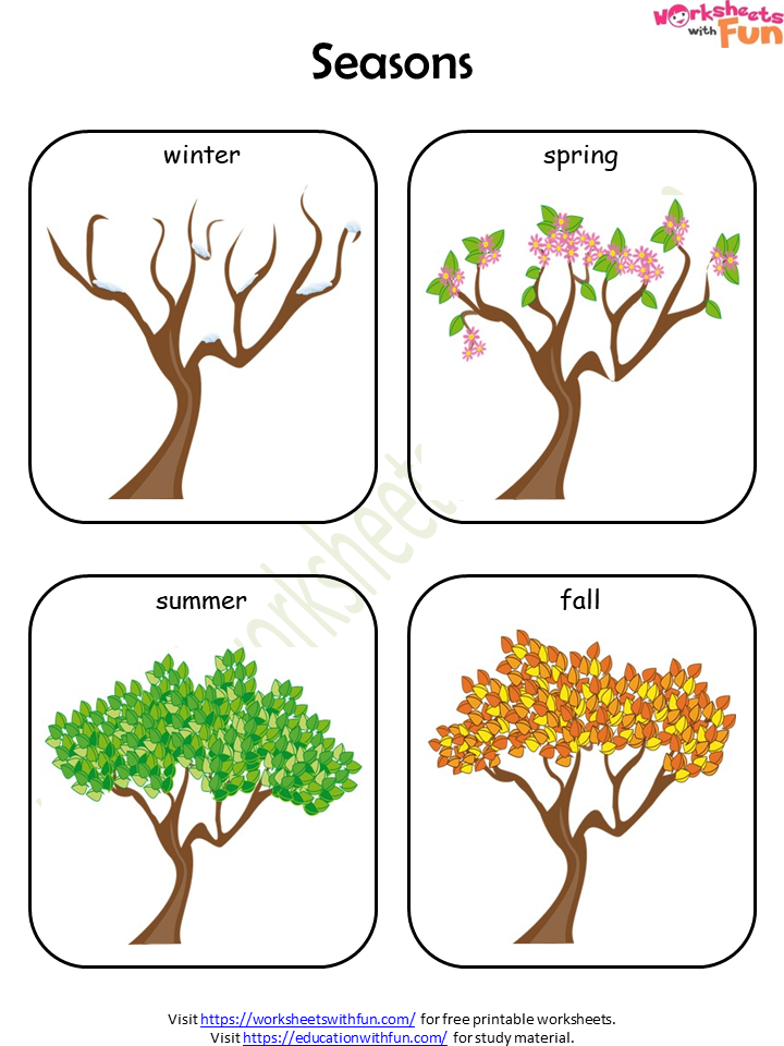 Environmental Science Class 1 Seasons Concept Wwf